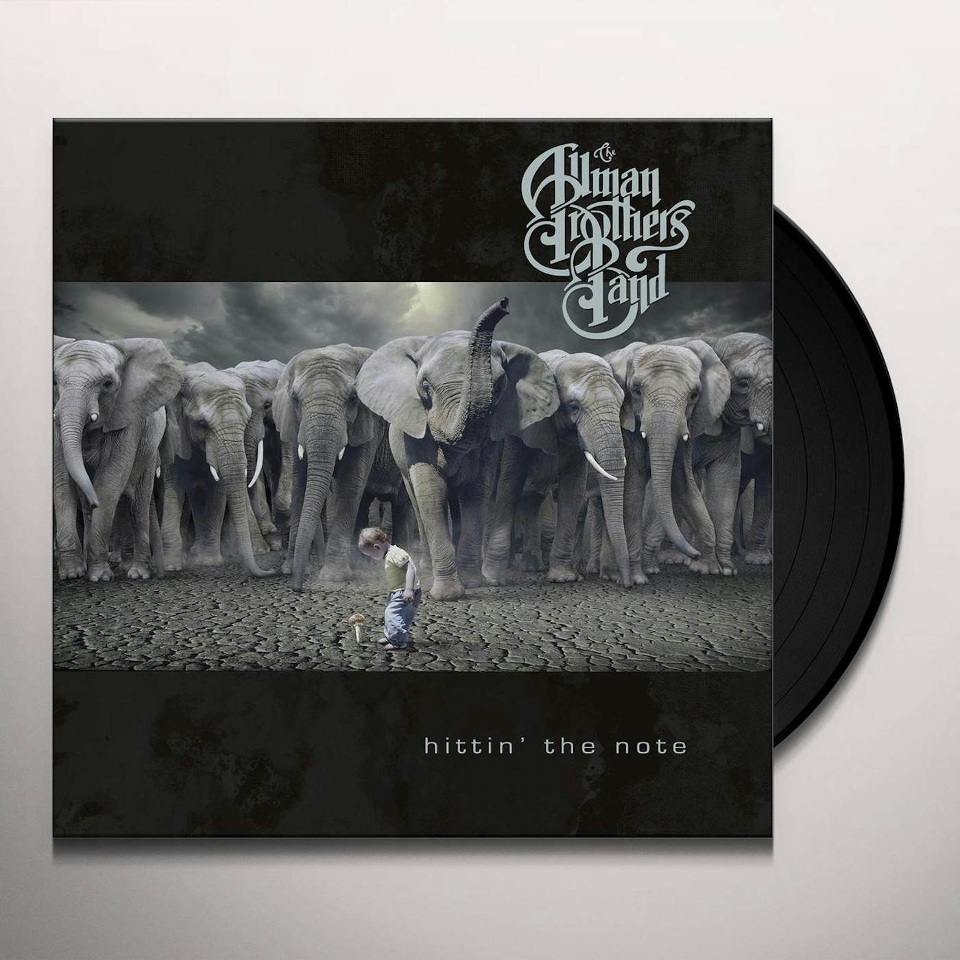 Allman Brothers Band Hittin' The Note Vinyl Record