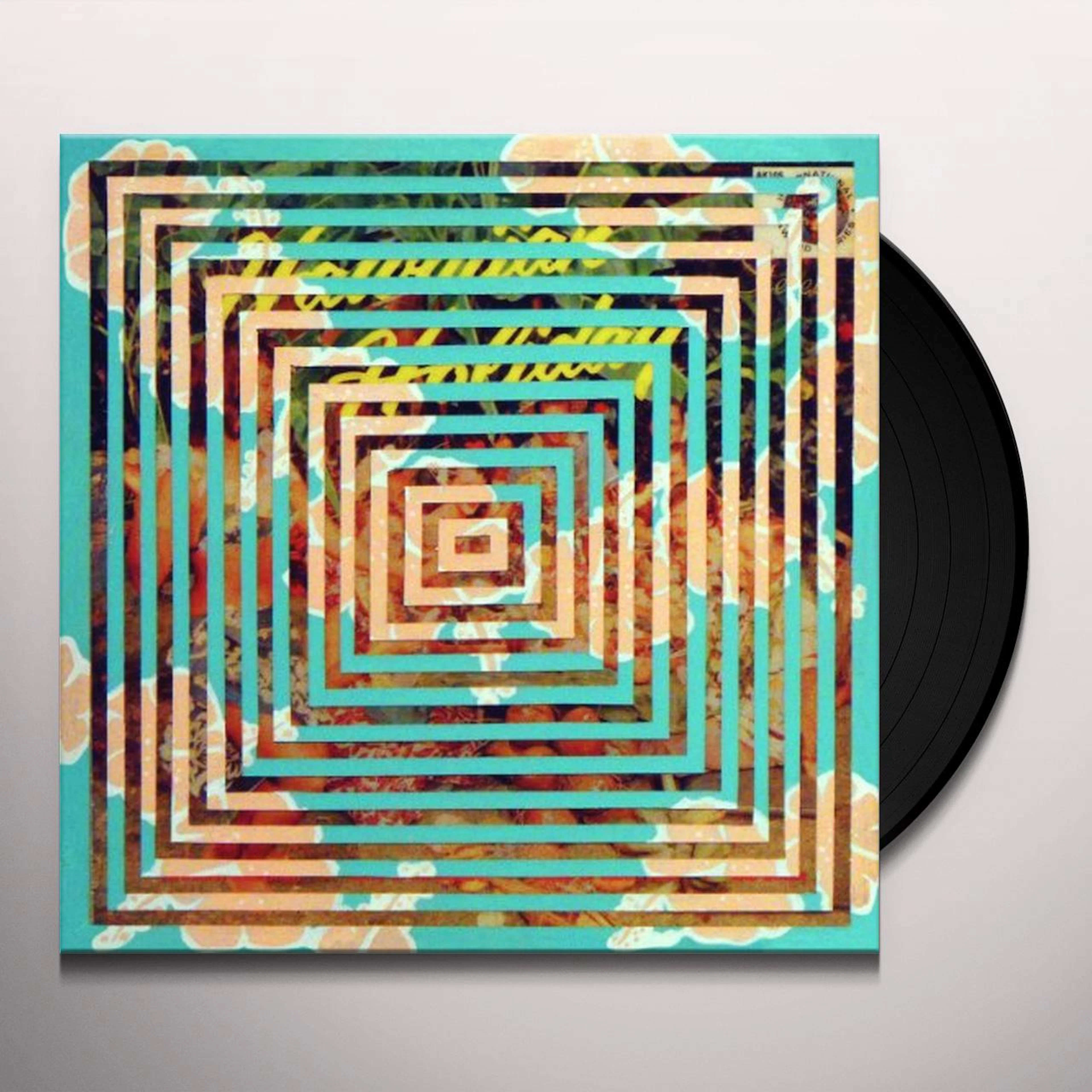 Sandy Pussy Vinyl Record