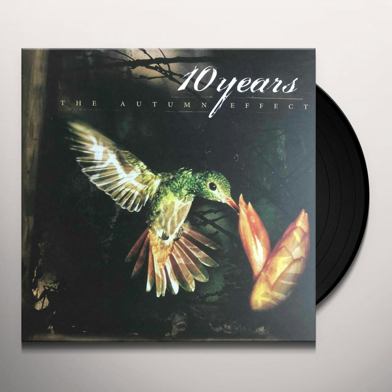 10 years Merch, Tees. Accessories and Vinyl Store