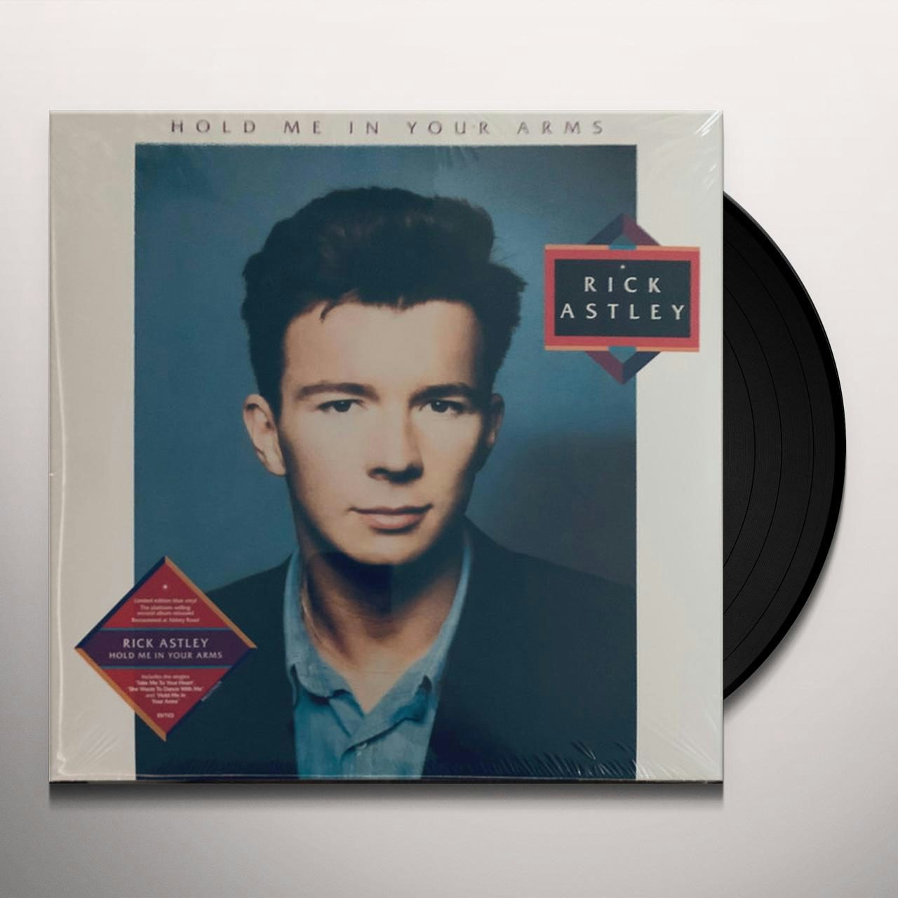 Rick Astley HOLD ME IN YOUR ARMS Vinyl Record