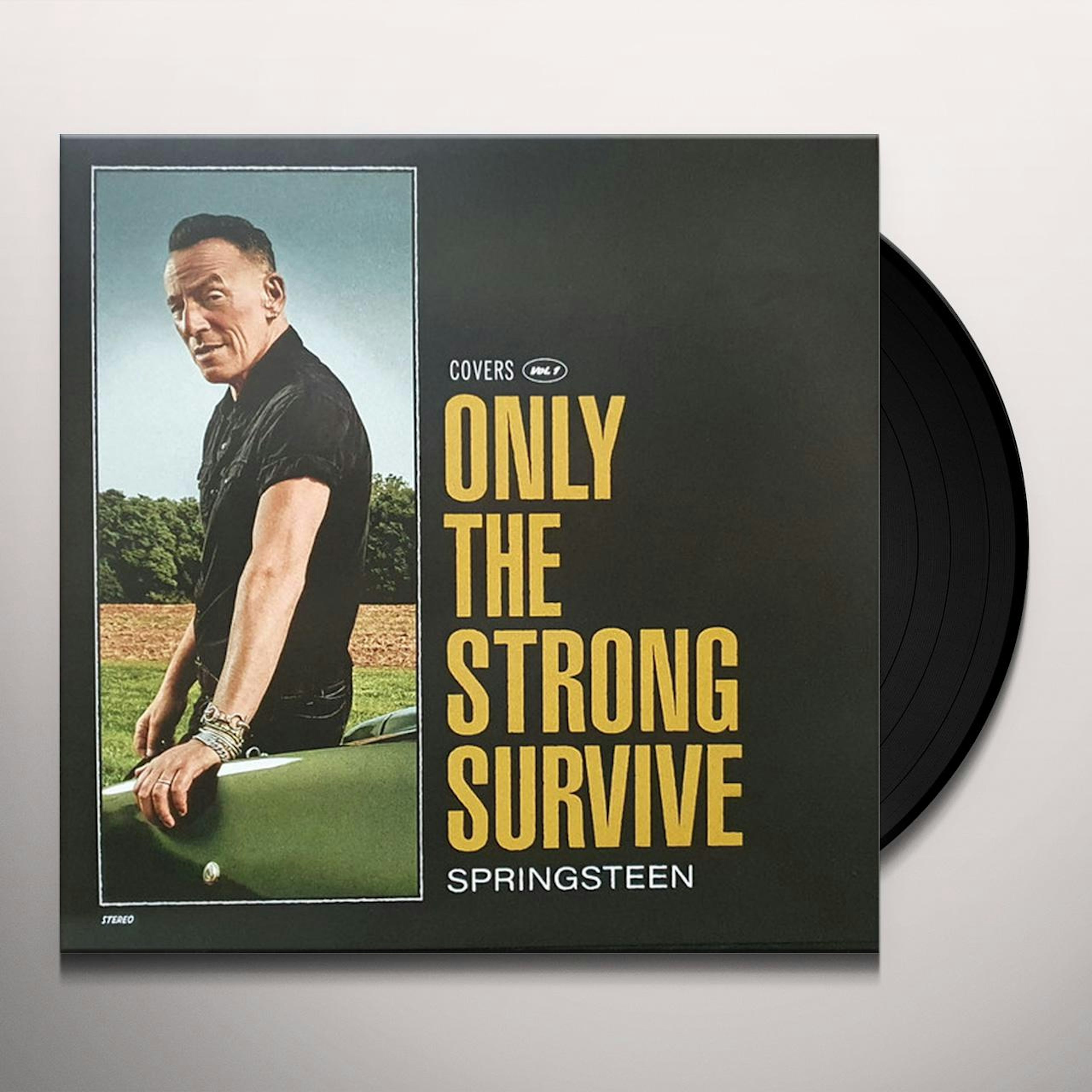 Bruce Springsteen ONLY THE STRONG SURVIVE Vinyl Record