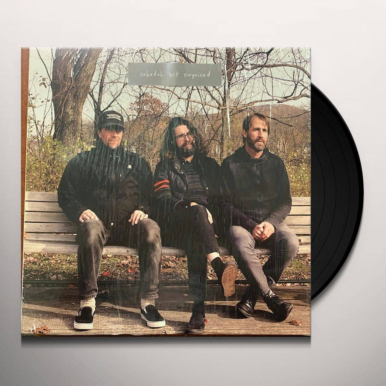 Sebadoh Act Surprised Vinyl Record