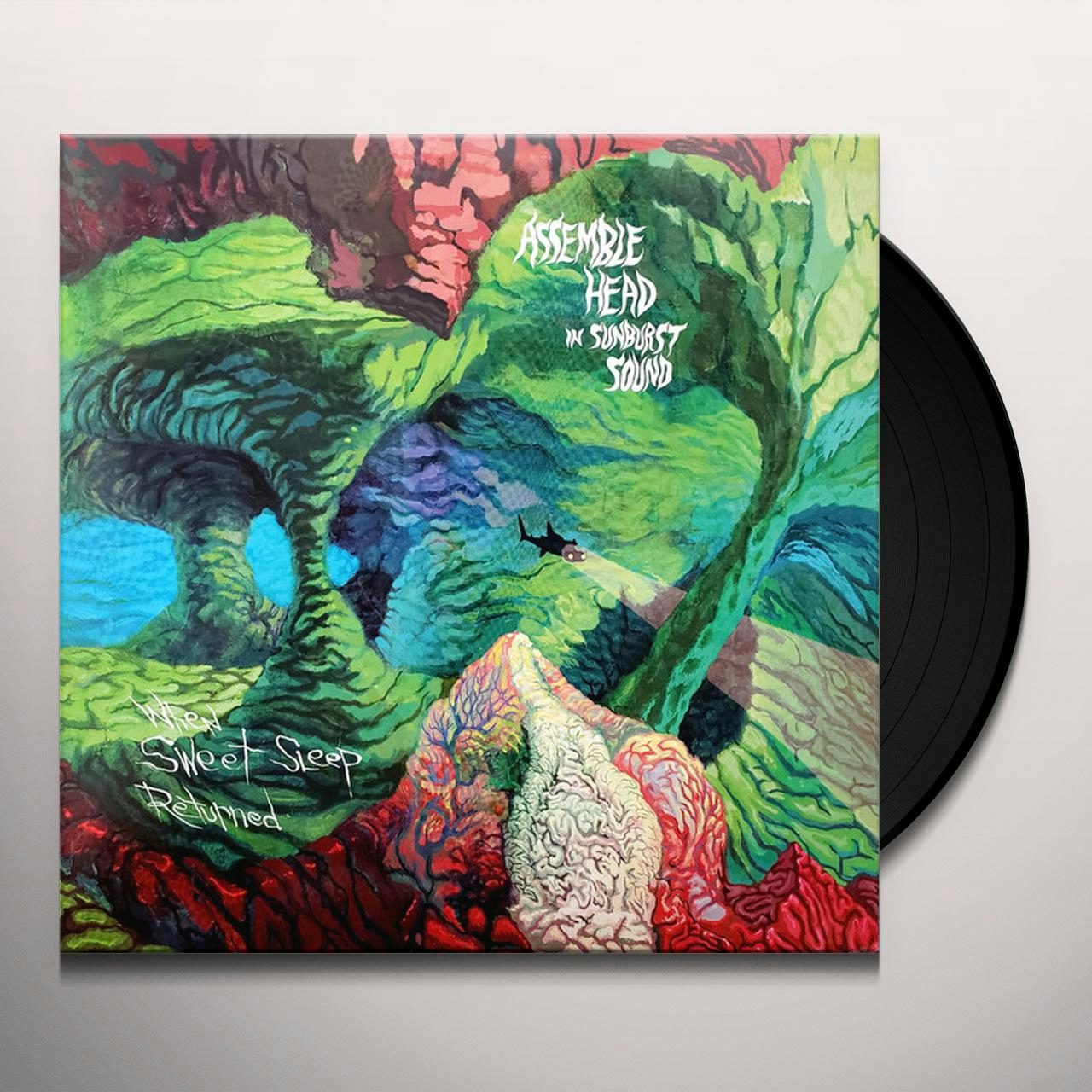 Assemble Head In Sunburst Sound Store: Official Merch & Vinyl